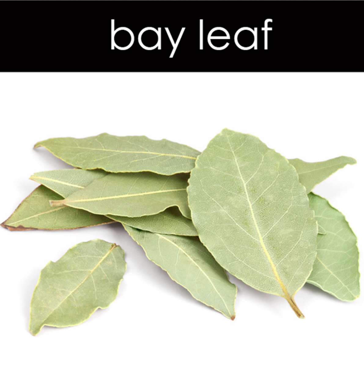 Bay Leaf Fragrance Oil – Candle Chemistry