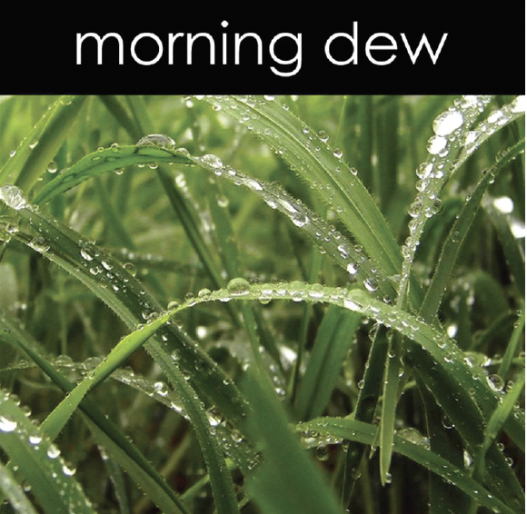 Morning Dew Aromatic Mist – Candle Chemistry