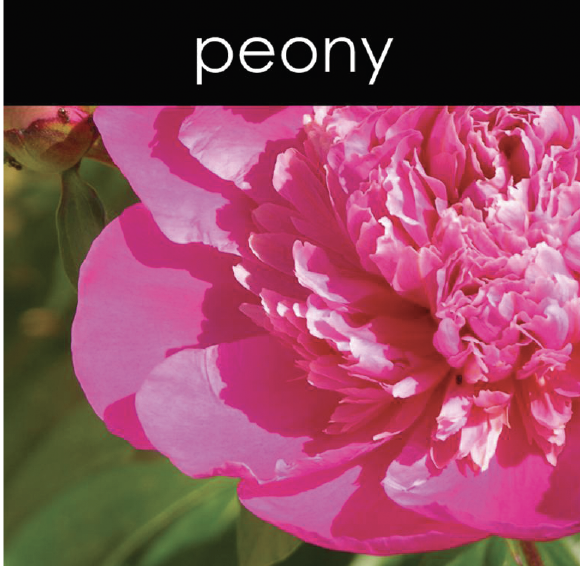 Peony Fragrance Oil – Candle Chemistry